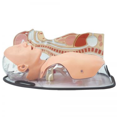 Maagsonde en PEG model - Skills Meducation