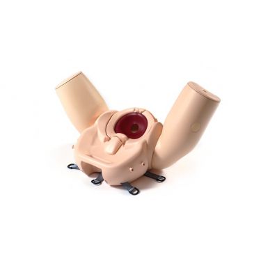 PROMPT Flex Birthing Mother - Skills Meducation