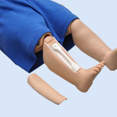 Scheenbeen bot, Tibia - Skills Meducation