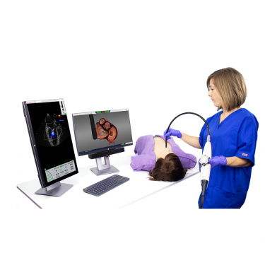 HeartWorks® echo-simulator voor TTE & TEE - Skills Meducation